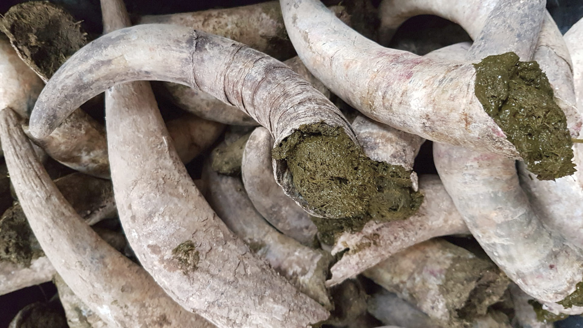 Qu'est-ce que la Biodynamie | Blog | Dr. Jonquille & Mr. Ail