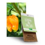 Graines de Piments Bio et reproductibles | Dr. Jonquille & Mr. Ail